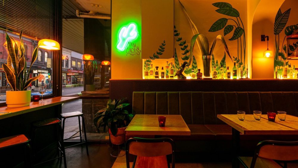 Chacho's — Mitchell & EadesMitchell & Eades